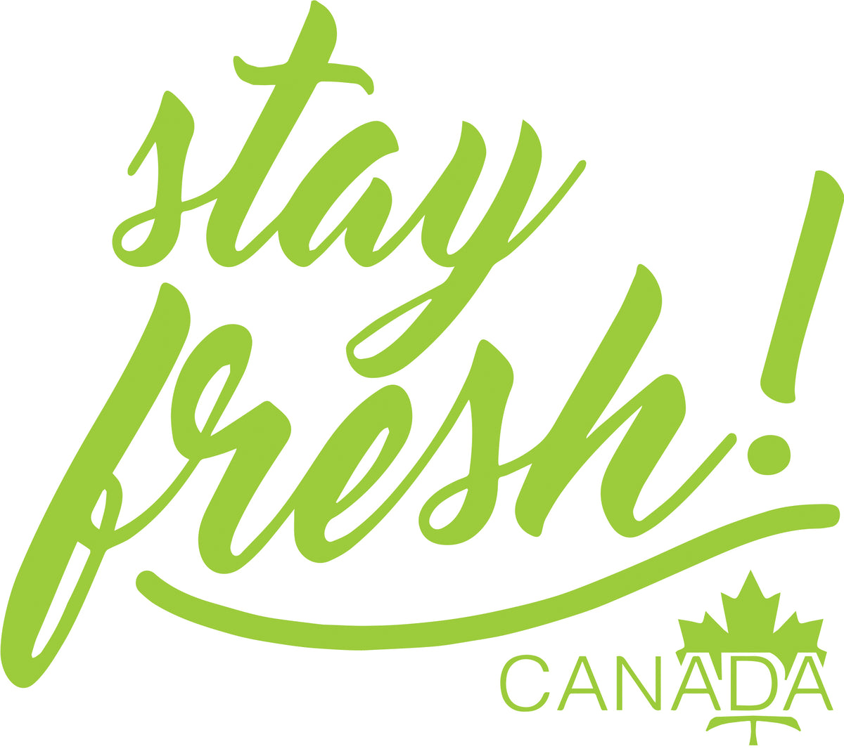 Stayfresh! Canada – NATURALLYBABYPH CO.