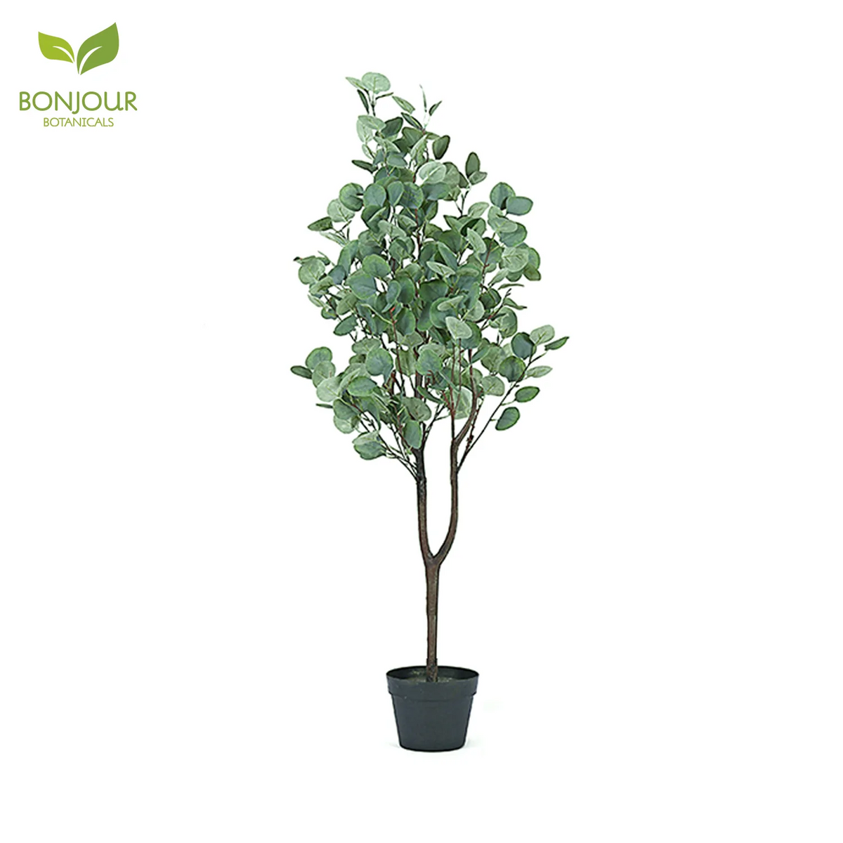Bonjour Botanicals Money Faux Tree 170cm – NATURALLYBABYPH CO.